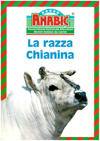 ANABIC | The Chianina Society of Australia