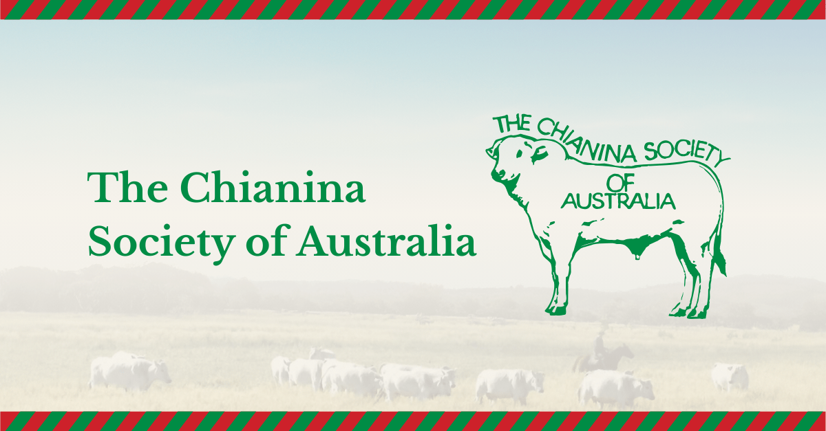 Chianina Breed | The Chianina Society of Australia